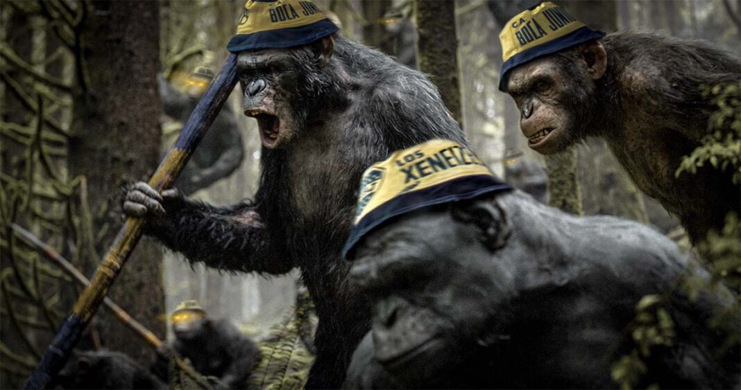 Memes, But Make it Art: Inside Bruno Acanfora’s Boca Juniors Social ...